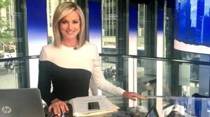 Sandra Smith Husband, Married, Net Worth, Salary, Body Measurement ...