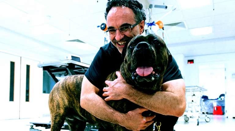 Is The Supervet Surgeon Noel Fitzpatrick Married? Know His Net Worth ...